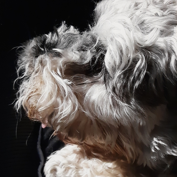 Marti Benner | Accents | Angel Signed Print | Poshmark